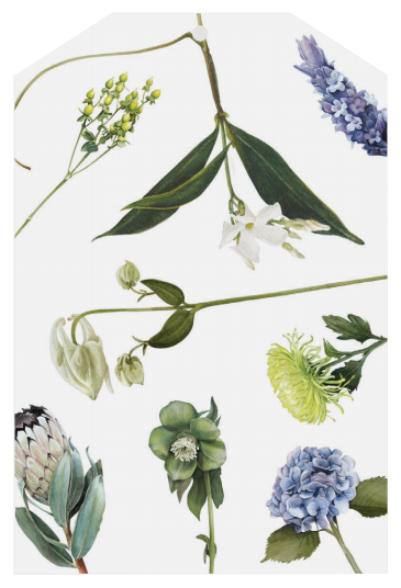 Botanical Gift Tag - Florafauna