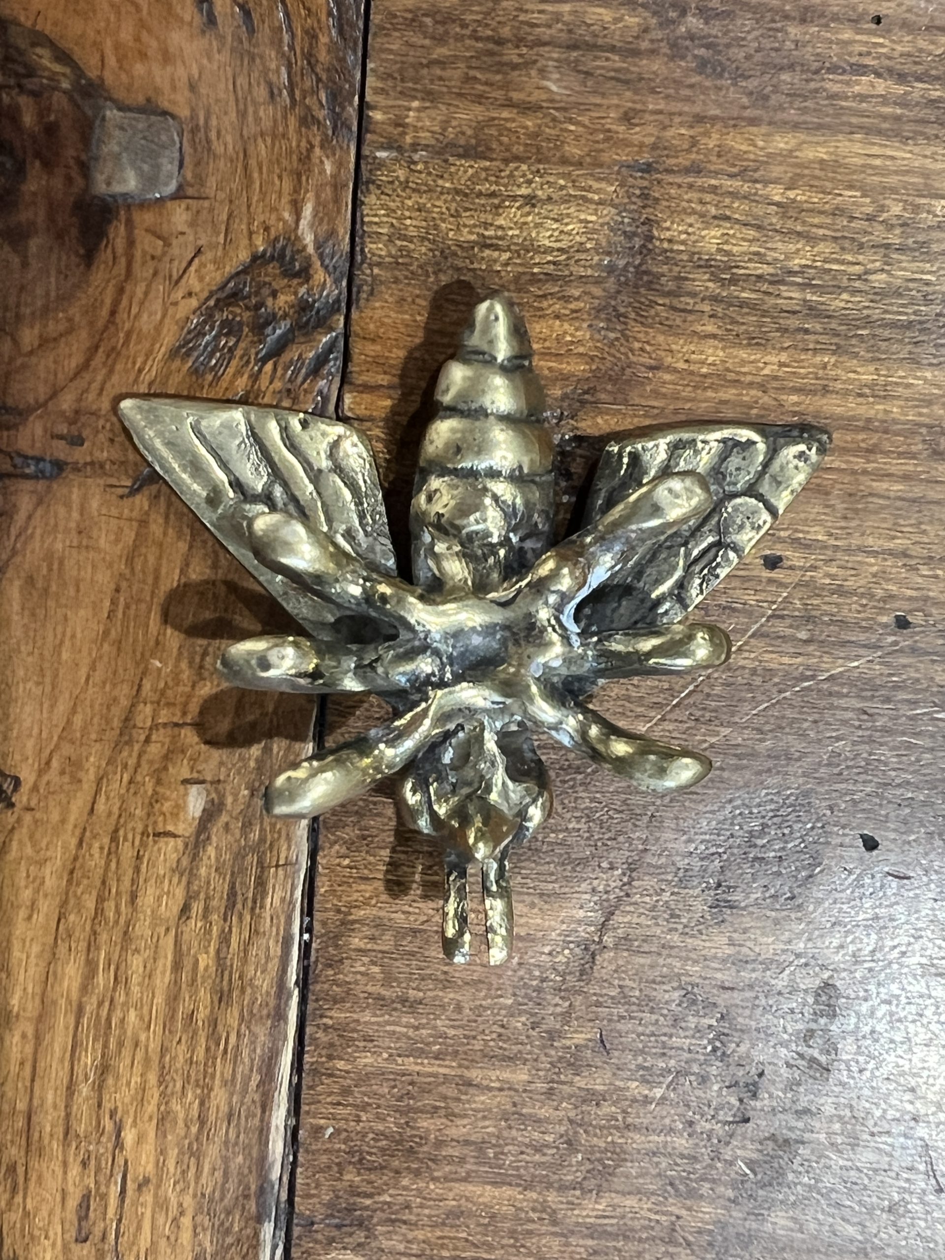 Bronze Bee - Florafauna