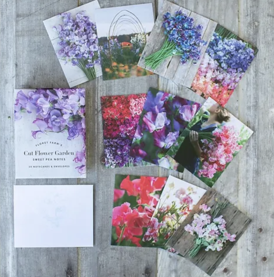 Floret Farm's Sweet Pea Notecards - Florafauna