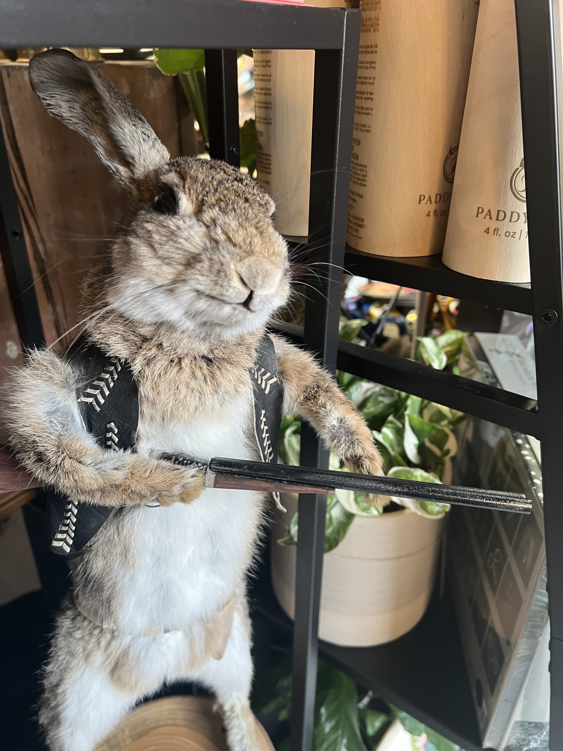 Rabbit with a Gun - Florafauna