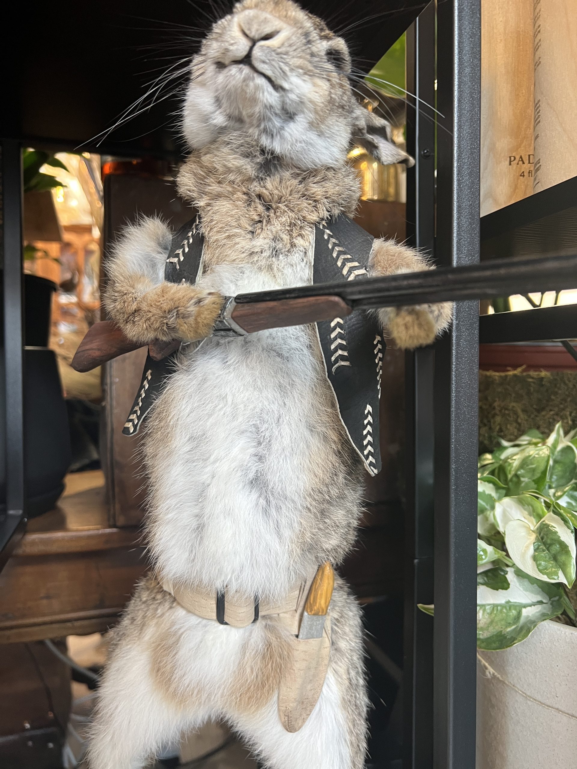 Rabbit with a Gun - Florafauna