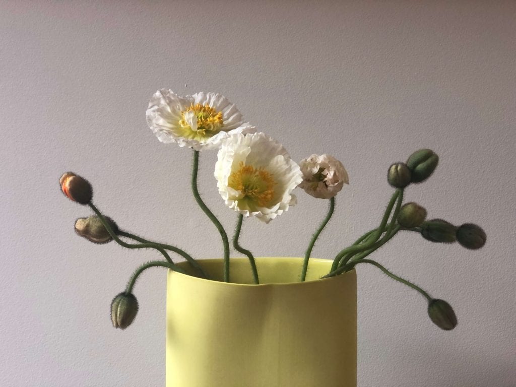 MUD Australia Ceramics - Vase Oval - Florafauna