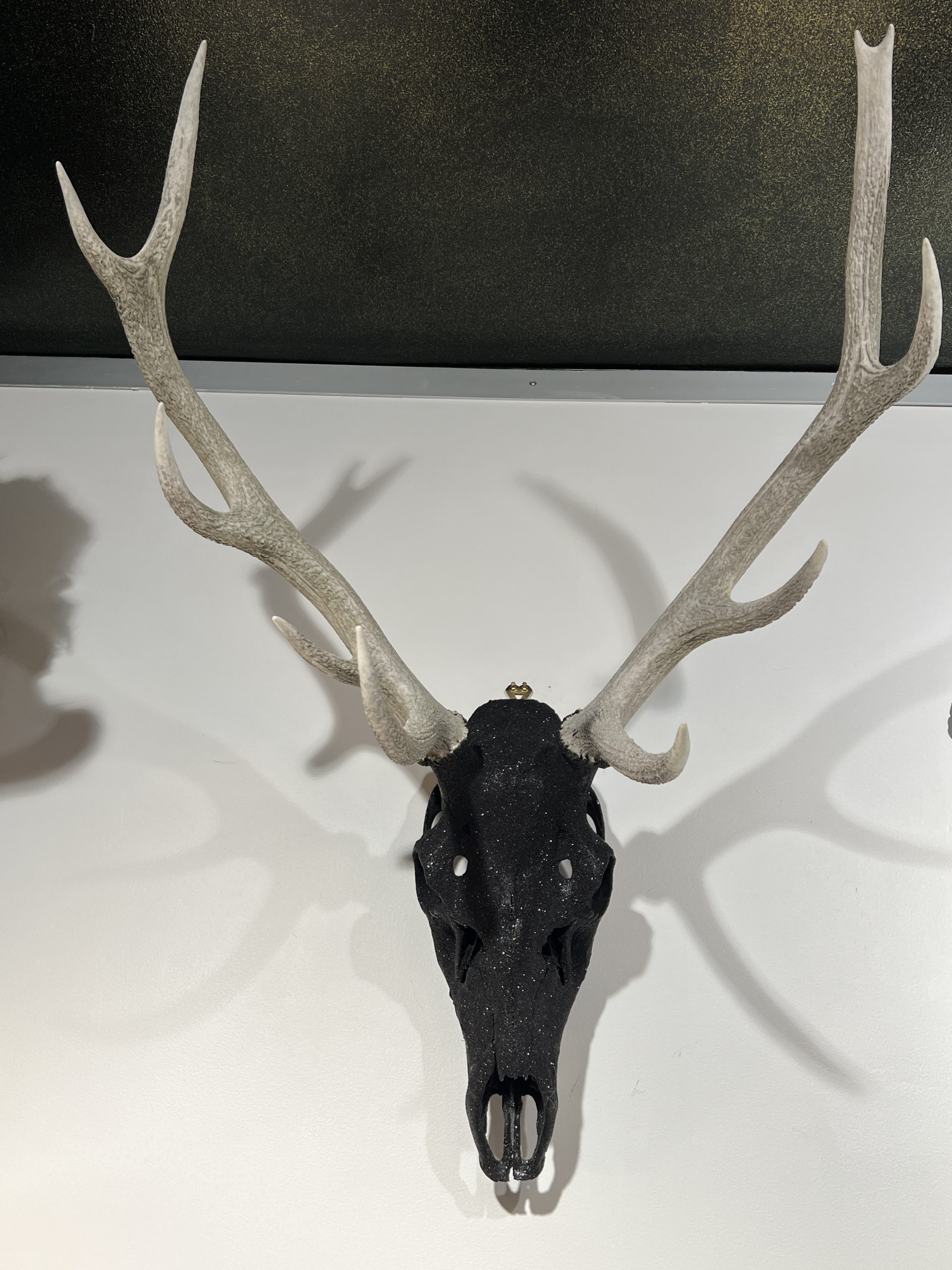Shop Our Curiosities | Queenstown Flower & Gift Shop