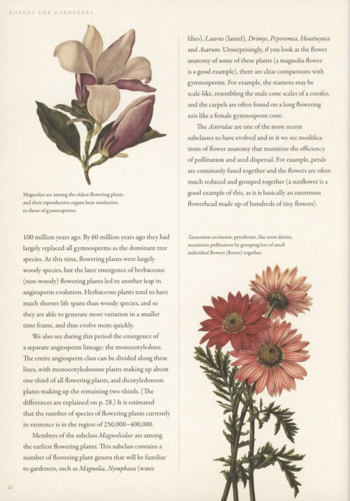 RHS Botany for Gardeners - Mitchell Beazley - Florafauna