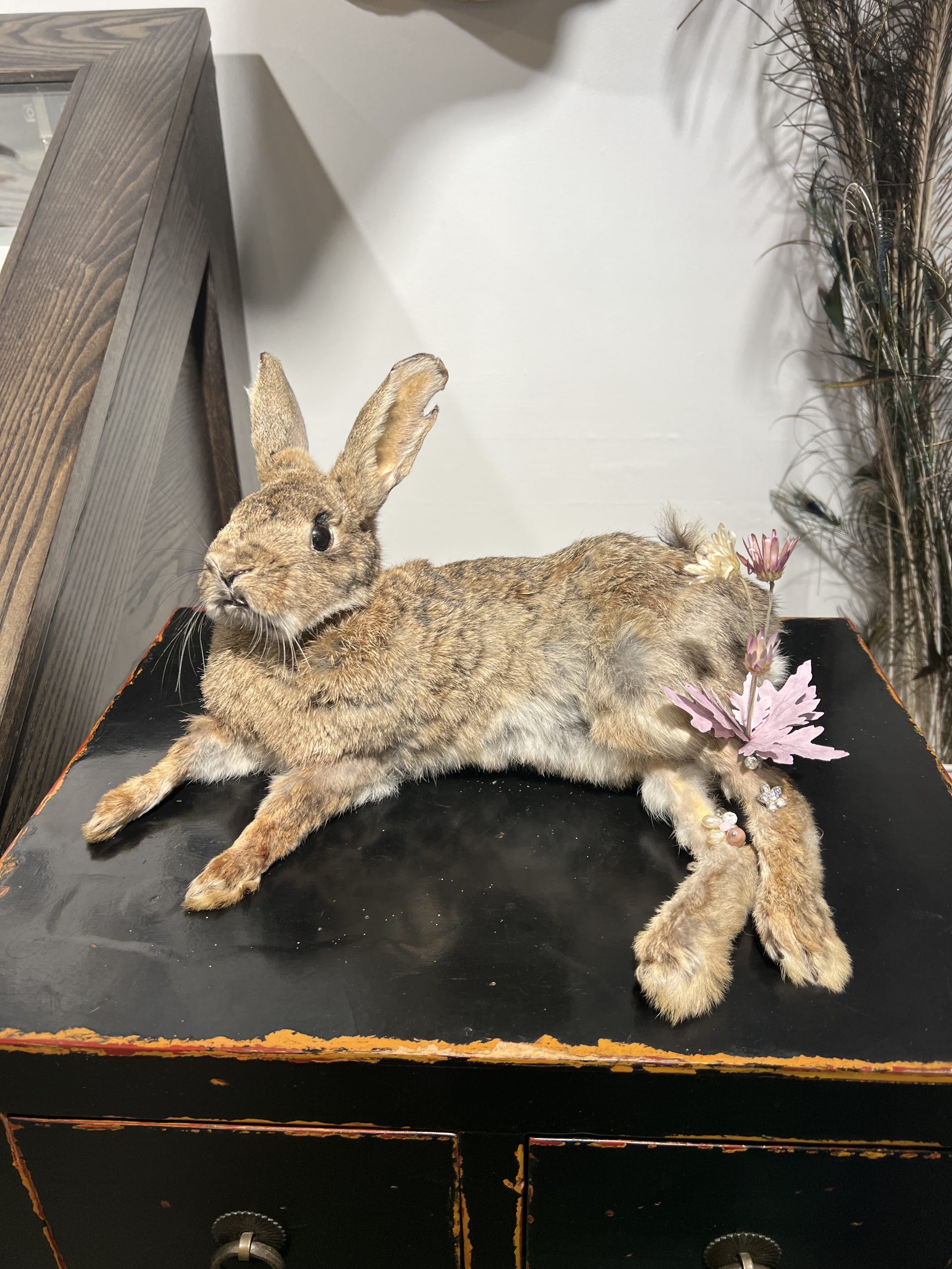 Rabbit Lying Down with Jewels and Flowers