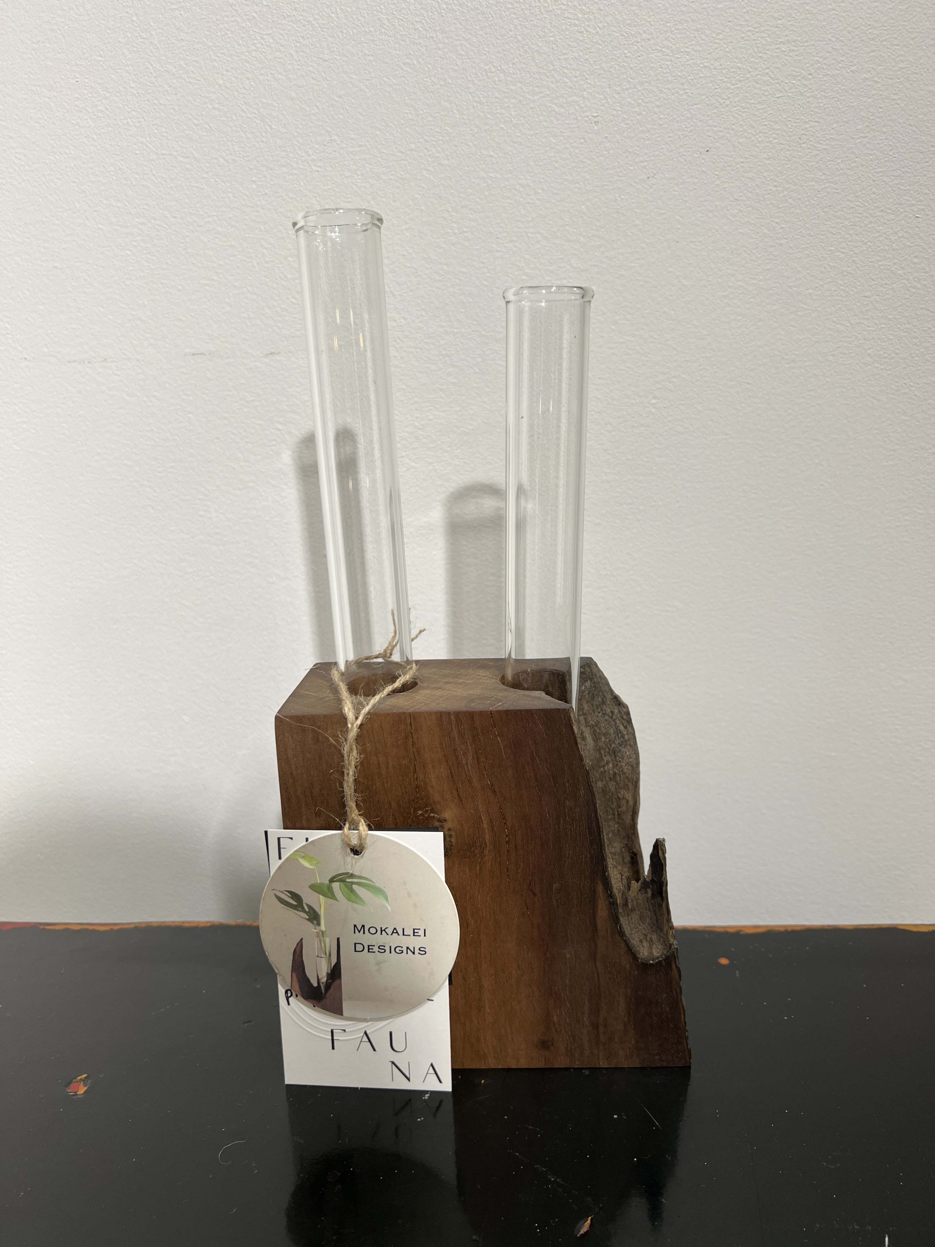 Homely , objects , Plants , Vessels