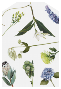 Botanical Gift Tag - Florafauna