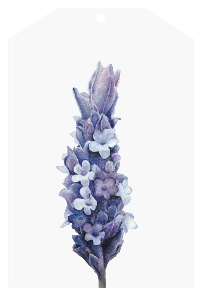 Lavender Gift Tag - Florafauna